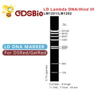 China 60 Preps DNA Marker Electrophoresis High Purity Reagents for sale