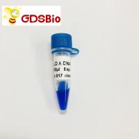 China 60 Preps DNA Marker Electrophoresis High Purity Reagents for sale