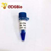 China 60 Preps DNA Marker Electrophoresis High Purity Reagents for sale