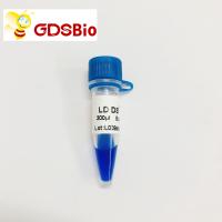 China 10000bp 10kb DNA Ladder Electrophoresis High Purity Reagents for sale