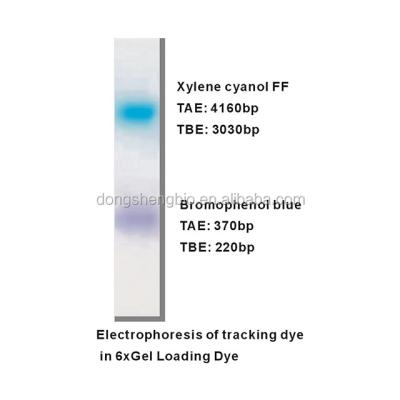 China Two Color DNA Electrophoresis Buffer GDSBio Gel Electrophoresis Buffer for sale