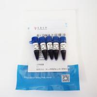 China Two Color DNA Electrophoresis Buffer GDSBio Gel Electrophoresis Buffer for sale