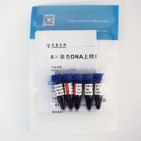 China M9051 1mlx5 6× Loading Buffer In Gel DNA Electrophoresis Specific Reagents for sale