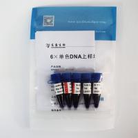 China M9051 1mlx5 6× Loading Buffer In Gel DNA Electrophoresis Specific Reagents for sale