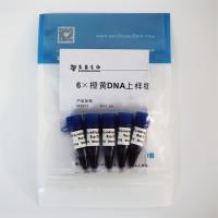 China 6× Gel Loading Dye Three Color DNA Electrophoresis Buffer 1mlx5 for sale