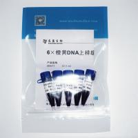 China 6× Gel Loading Dye Three Color DNA Electrophoresis Buffer 1mlx5 for sale