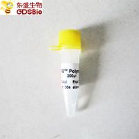China PCR QPCR FS Taq DNA Polymerase P1071 P1072 P1073 P1074 for sale