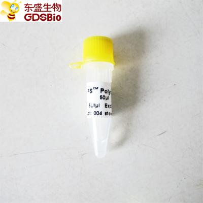 China PCR QPCR FS Taq DNA Polymerase P1071 P1072 P1073 P1074 for sale