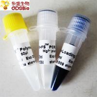 China PCR QPCR FS Taq DNA Polymerase P1071 P1072 P1073 P1074 for sale