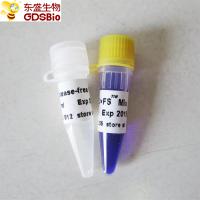 China FS PCR Mix For DNA RNA Nucleic Acid Detection P2071 P2072 for sale