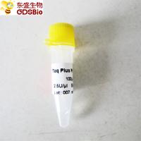 China Blue Buffer Taq Plus DNA Polymerase For PCR P1031 P1032 P1033 P1034 for sale