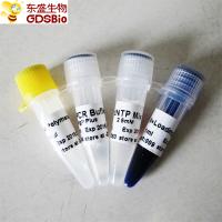 China Blue Buffer Taq Plus DNA Polymerase For PCR P1031 P1032 P1033 P1034 for sale