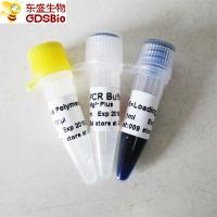 China Blue Buffer Taq Plus DNA Polymerase For PCR P1031 P1032 P1033 P1034 for sale