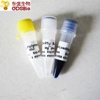 China Pfu DNA Polymerase for PCR P1021 P1022 P1023 P1024 for sale