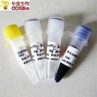 China Pfu DNA Polymerase for PCR P1021 P1022 P1023 P1024 for sale