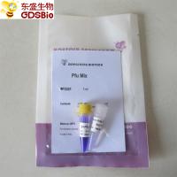 China DNA RNA Nucleic Acid PCR Detection Pfu PCR Master Mix P2021 1ml for sale