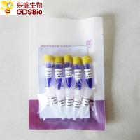China Pfu PCR Reagent Mix 1ml×5 For DNA RNA Nucleic Acid PCR Detection P2022 for sale