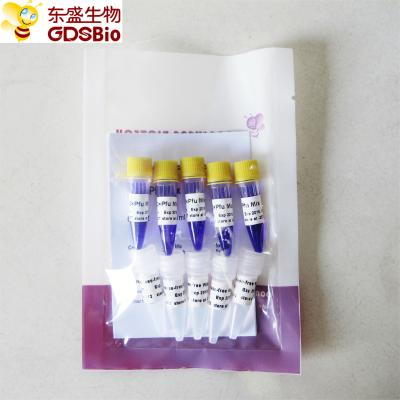 China Pfu PCR Reagent Mix 1ml×5 For DNA RNA Nucleic Acid PCR Detection P2022 for sale