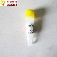 China HS Hotstart Taq DNA Polymerase PCR Reagent High Specificity P1081 P1082 P1083 P1084 for sale