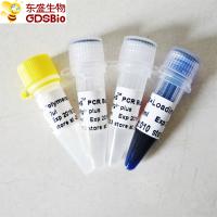China HS Hotstart Taq DNA Polymerase PCR Reagent High Specificity P1081 P1082 P1083 P1084 for sale