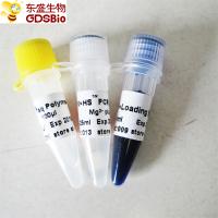 China HS Hotstart Taq DNA Polymerase PCR Reagent High Specificity P1081 P1082 P1083 P1084 for sale