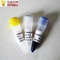 China HS Hotstart Taq DNA Polymerase PCR Reagent High Specificity P1081 P1082 P1083 P1084 for sale