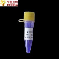 China HS QPCR Mastermix P2081 1ml High Reproducibility for sale