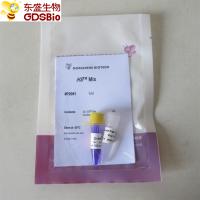 China HS QPCR Mastermix P2081 1ml High Reproducibility for sale