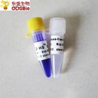 China HS QPCR Mastermix P2081 1ml High Reproducibility for sale