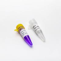 China Optimus Hotstart Taq Mix PCR Master Mix P2041 1ml for sale