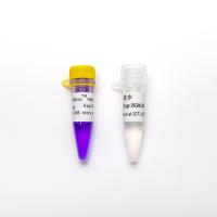China Optimus Hotstart Taq Mix PCR Master Mix P2041 1ml for sale