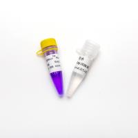 China Optimus Taq Hot Start Polymerase 5ml PCR Master Mix P2042 for sale