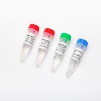 China HS Hotstart Taq DNA Polymerase PCR Master Mix P1091 500U High Specificity for sale