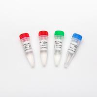 China HS Hotstart Taq DNA Polymerase PCR Master Mix P1091 500U High Specificity for sale