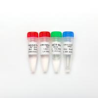China HS Hotstart Taq DNA Polymerase PCR Master Mix P1091 500U High Specificity for sale