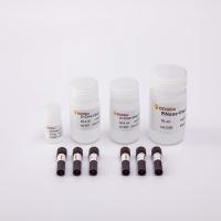 China V5002 5000rxn One Step RT QPCR Master Mix 30UL/Rxn for sale