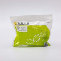 China V5002 5000rxn One Step RT QPCR Master Mix 30UL/Rxn for sale