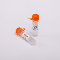 China 2X Prime One Step RT QPCR Master Mix V5007 25uL/Rxn for sale