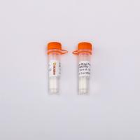 China 2X Prime One Step RT QPCR Master Mix V5007 25uL/Rxn for sale