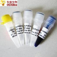 China Long Taq DNA Polymerase P1061 250U for sale
