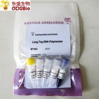 China Long Taq DNA Polymerase P1061 250U for sale