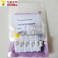 China Long Taq DNA Polymerase #P1063 1,000U for sale