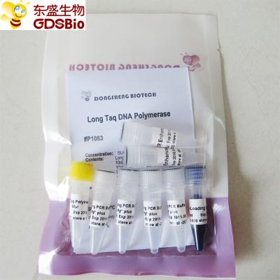 China Long Taq DNA Polymerase #P1063 1,000U for sale