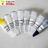 China Long Taq DNA Polymerase #P1063 1,000U for sale