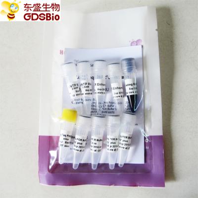 China Long Taq DNA Polymerase #P1064 1,000U for sale