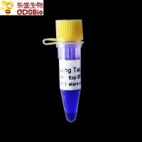 China Long Taq Mix PCR Master Kit #P2061 1ml for sale