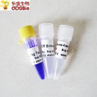 China Long Taq Mix PCR Master Kit #P2061 1ml for sale