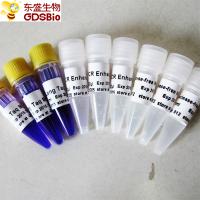 China Long Taq 3ml PCR Master Mix Blue Buffer Master Mixture For PCR for sale