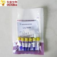 China Long Taq Kit PCR Master Mix #P3062 5ml for sale
