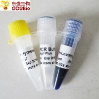 China Taq DNA Polymerase P1011 500U PCR Master Mix Blue Buffer for sale